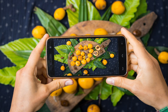 Mushmula Images – Browse 60 Stock Photos, Vectors, and Video | Adobe Stock