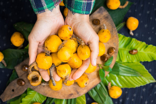 Mushmula Images – Browse 60 Stock Photos, Vectors, and Video | Adobe Stock