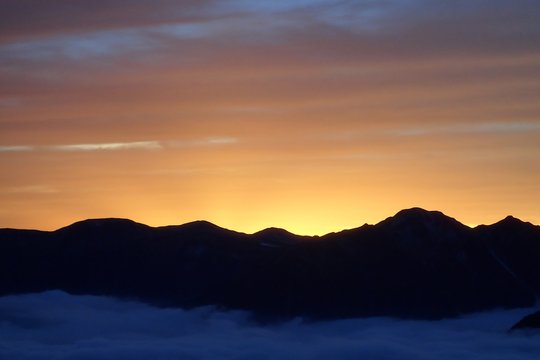 SHEEP-WING photos, images, assets | Adobe Stock