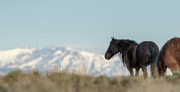รูปภาพ"Hore – เลือกดูภาพถ่ายสต็อก เวกเตอร์ และวิดีโอ897 | Adobe Stock