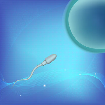 Spermogram Images – Browse 279 Stock Photos, Vectors, and Video | Adobe ...