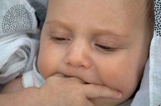 Manine Изображения: просматривайте стоковые фотографии, векторные ...