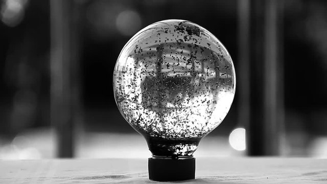 Crystal-Ball bilder – Bläddra bland 222 stockfoton, vektorer och videor ...