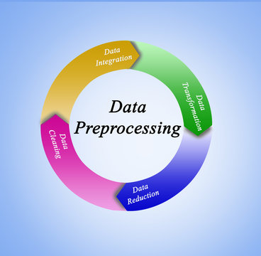 Preprocessing Images – Browse 1,198 Stock Photos, Vectors, and Video ...