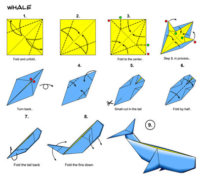 Origami Shark Step By Step
