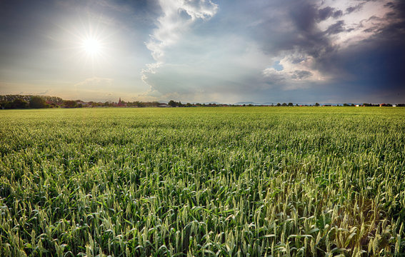 รูปภาพCasta – เลือกดูภาพถ่ายสต็อก เวกเตอร์ และวิดีโอ852 | Adobe Stock