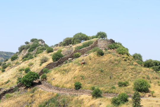 รูปภาพGolan – เลือกดูภาพถ่ายสต็อก เวกเตอร์ และวิดีโอ10,448 | Adobe Stock