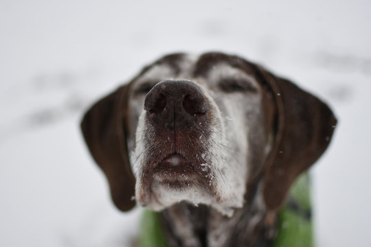 Gsp Images – Browse 1,280 Stock Photos, Vectors, and Video | Adobe Stock