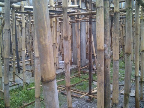 รูปภาพStager – เลือกดูภาพถ่ายสต็อก เวกเตอร์ และวิดีโอ497 | Adobe Stock