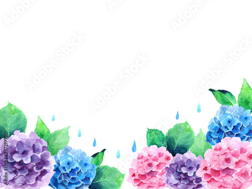 あじさいフレームイラスト(水彩) の ストック画像とロイヤリティフリーのベクターファイル Pic 207219991