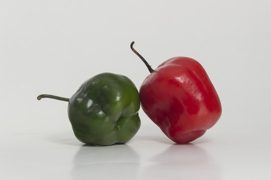 「Locoto」の画像 - 560 件の Stock 写真、ベクターおよびビデオ | Adobe Stock