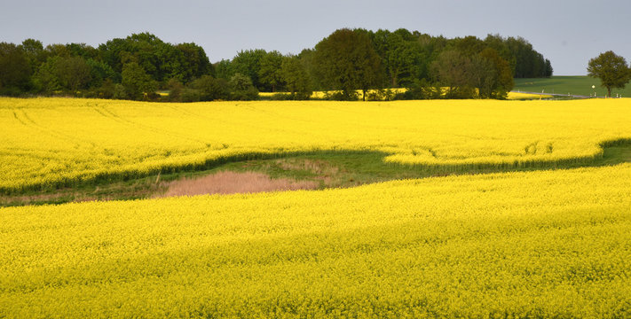 รูปภาพRapssaat – เลือกดูภาพถ่ายสต็อก เวกเตอร์ และวิดีโอ93 | Adobe Stock