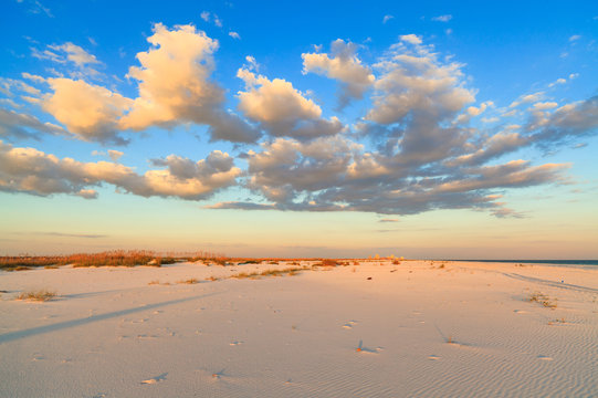 รูปภาพPanhandle – เลือกดูภาพถ่ายสต็อก เวกเตอร์ และวิดีโอ115,327 | Adobe ...