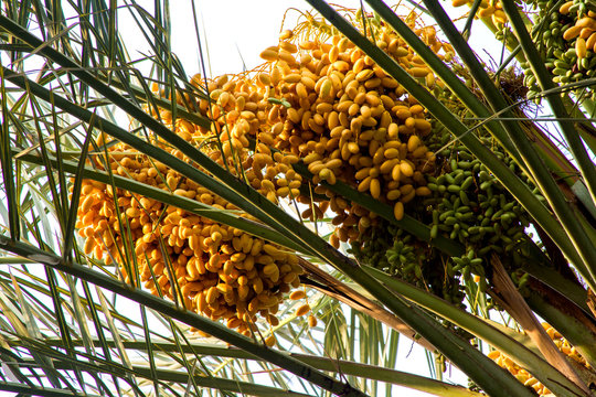 Kimri Images – Browse 234 Stock Photos, Vectors, and Video | Adobe Stock