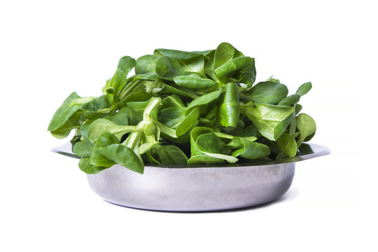 Canonigos 画像 - 参照 204 Stock 写真、ベクターおよびビデオ | Adobe Stock