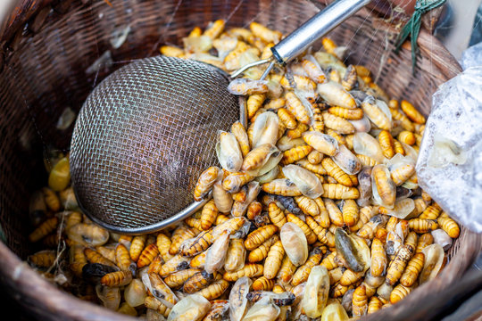 รูปภาพBeondegi – เลือกดูภาพถ่ายสต็อก เวกเตอร์ และวิดีโอ189 | Adobe Stock