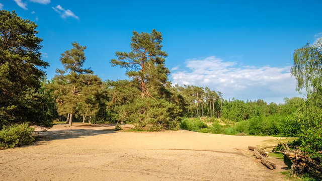 Lutterzand Images – Browse 27 Stock Photos, Vectors, and Video | Adobe ...