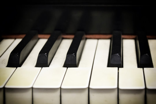 Octava Images – Browse 40 Stock Photos, Vectors, and Video | Adobe Stock