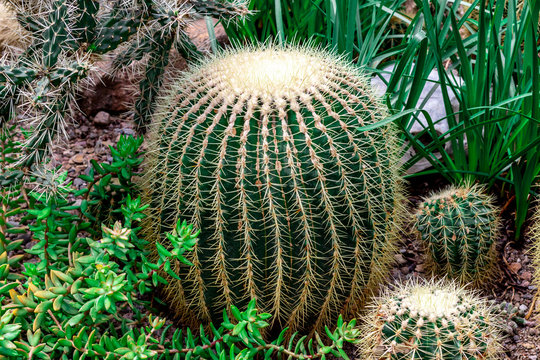 Hildm-Bilder: Stock-Fotos & -Videos. | Adobe Stock