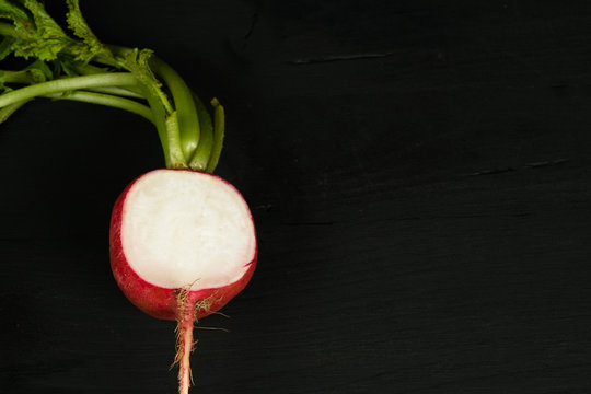 Turp 画像 - 参照 384 Stock 写真、ベクターおよびビデオ | Adobe Stock