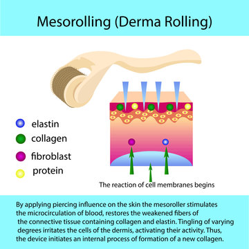 Meso Images – Browse 48 Stock Photos, Vectors, and Video | Adobe Stock