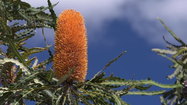 Baskia Bilder – Durchsuchen 22 Archivfotos, Vektorgrafiken und Videos ...