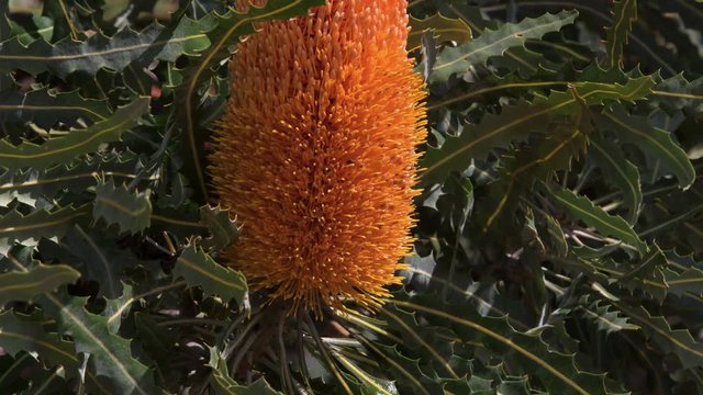 Baskia Bilder – Durchsuchen 22 Archivfotos, Vektorgrafiken und Videos ...