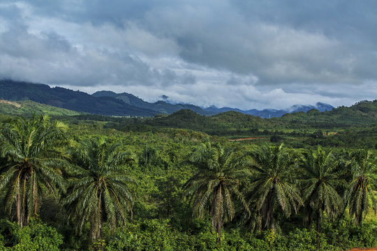 Tavoy Bilder – Durchsuchen 340 Archivfotos, Vektorgrafiken und Videos ...