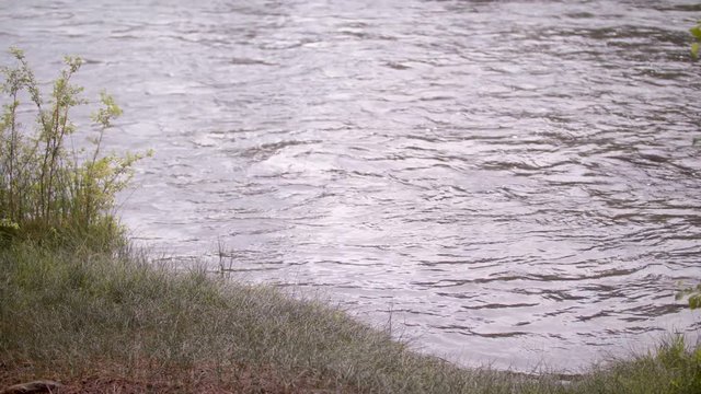 Rivershore Images – Browse 2,817 Stock Photos, Vectors, and Video ...