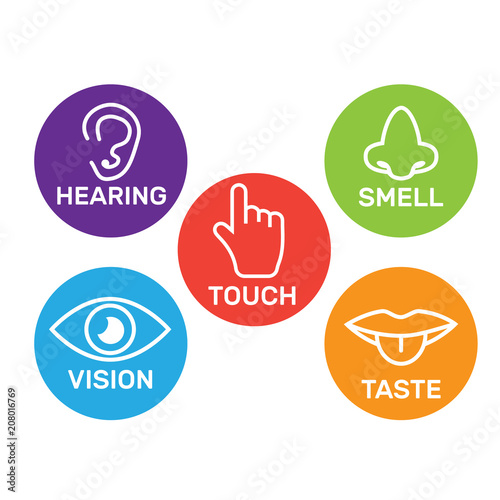 "5 senses icon collection color. Five senses icon set" Stock image and ...