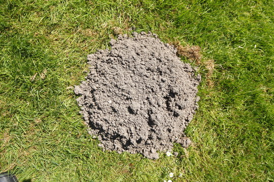 587 BESTE Erdhaufen BILDER, STOCK-FOTOS & -VEKTORGRAFIKEN | Adobe Stock