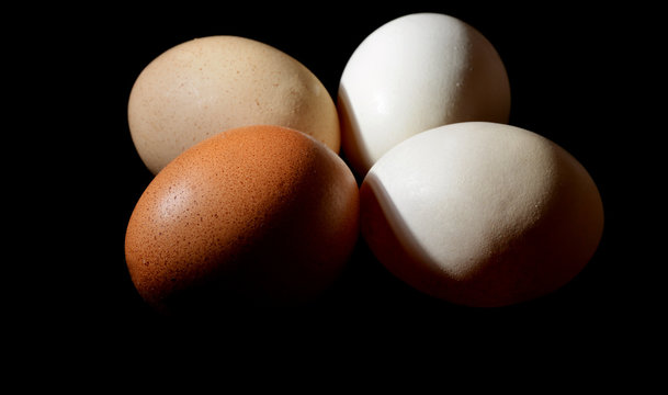 รูปภาพBesin – เลือกดูภาพถ่ายสต็อก เวกเตอร์ และวิดีโอ2,627 | Adobe Stock