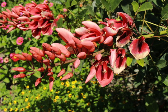 「Cry-Baby」の画像 - 15 件の Stock 写真、ベクターおよびビデオ | Adobe Stock