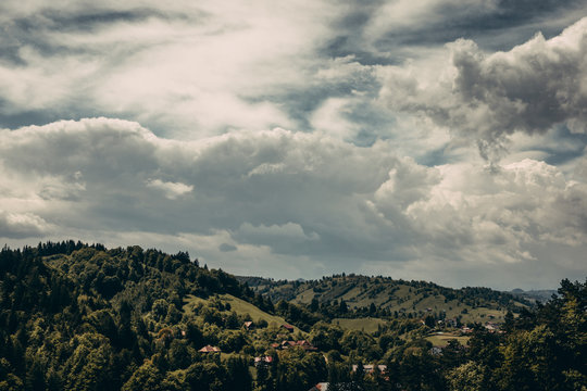 รูปภาพTarty – เลือกดูภาพถ่ายสต็อก เวกเตอร์ และวิดีโอ193 | Adobe Stock