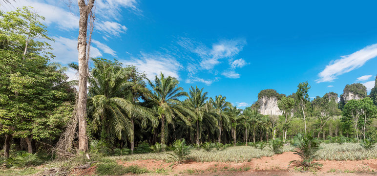 Maripa Images – Browse 45 Stock Photos, Vectors, and Video | Adobe Stock