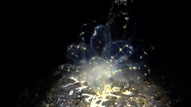 Doto Bilder – Durchsuchen 551 Archivfotos, Vektorgrafiken und Videos ...