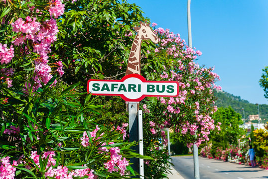 "Safari Bus" Images – Browse 10 Stock Photos, Vectors, and Video ...