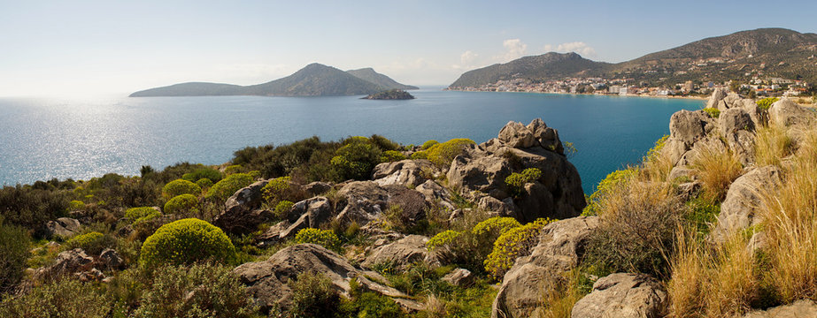 Tolo Images – Parcourir 778 le catalogue de photos, vecteurs et vidéos ...