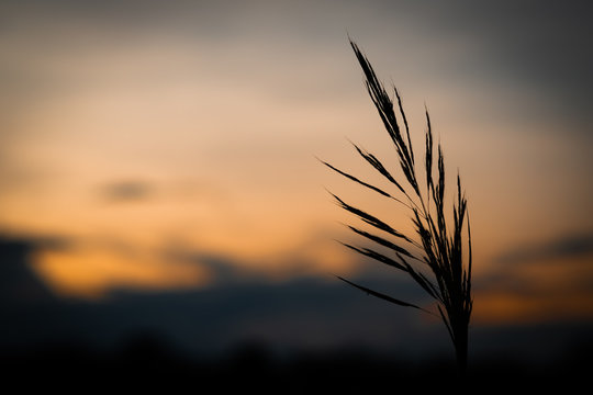 Kashful Images – Browse 246 Stock Photos, Vectors, and Video | Adobe Stock