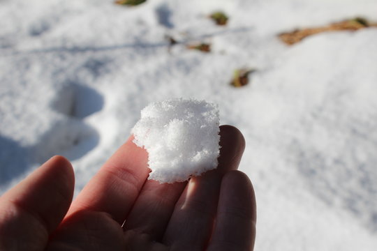 Lodu Images – Parcourir 24,470 le catalogue de photos, vecteurs et ...