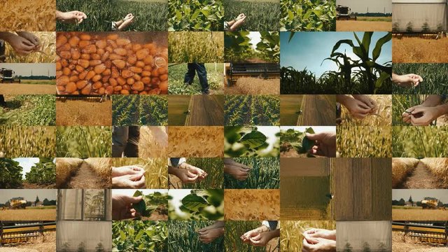 Split-Screen Images – Browse 406 Stock Photos, Vectors, and Video ...