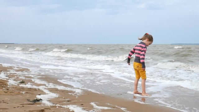 Shart Images – Browse 213 Stock Photos, Vectors, and Video | Adobe Stock