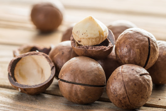 "Bush Nut" Immagini - Sfoglia 890 foto, vettoriali e video Stock ...