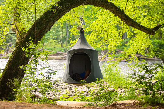 รูปภาพCacoon – เลือกดูภาพถ่ายสต็อก เวกเตอร์ และวิดีโอ122 | Adobe Stock