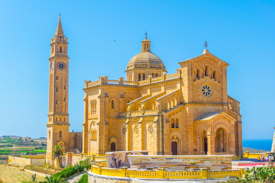 DIE 515 BESTEN BILDER, STOCK-FOTOS UND -VEKTORGRAFIKEN ZU „Pinu ...