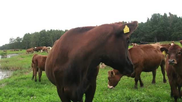 Redpol Images – Browse 108 Stock Photos, Vectors, and Video | Adobe Stock