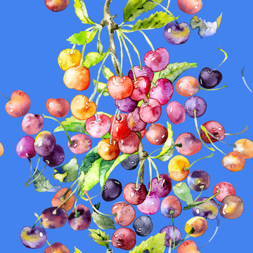 Fructify Bilder – Durchsuchen 586 Archivfotos, Vektorgrafiken und Videos | Adobe Stock