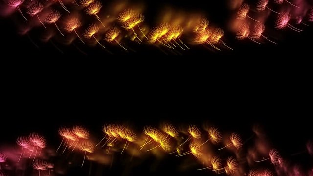 Tampopo vídeos de archivo: 4 clips de vídeo HD y 4K | Adobe Stock