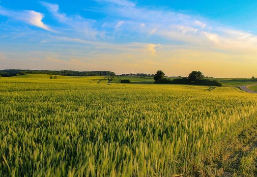 「Mecklenburger」の写真素材 | 516件の無料イラスト画像 | Adobe Stock