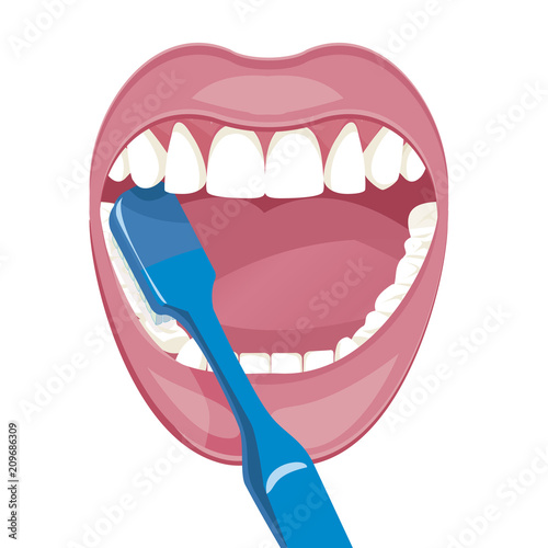 "Vector image on a white background. how to brush your teeth rightly ...